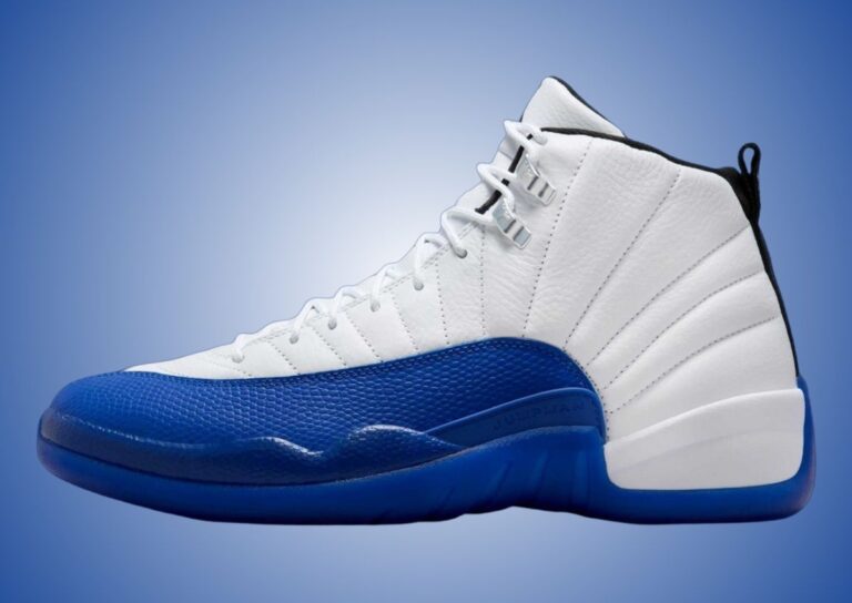 Air Jordan 12 Blueberry CT8013-140 | SneakerFiles