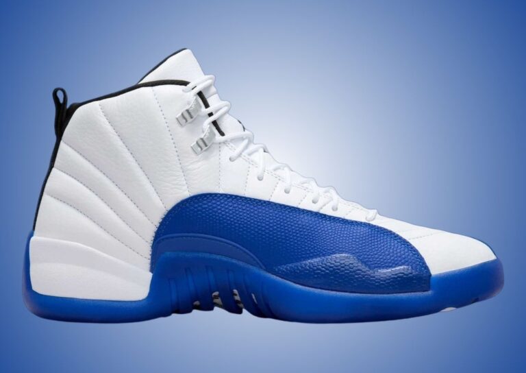 Air Jordan 12 Blueberry CT8013-140 | SneakerFiles