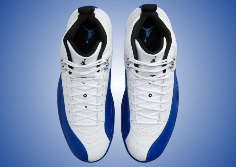 Air Jordan 12 Blueberry CT8013-140 | SneakerFiles