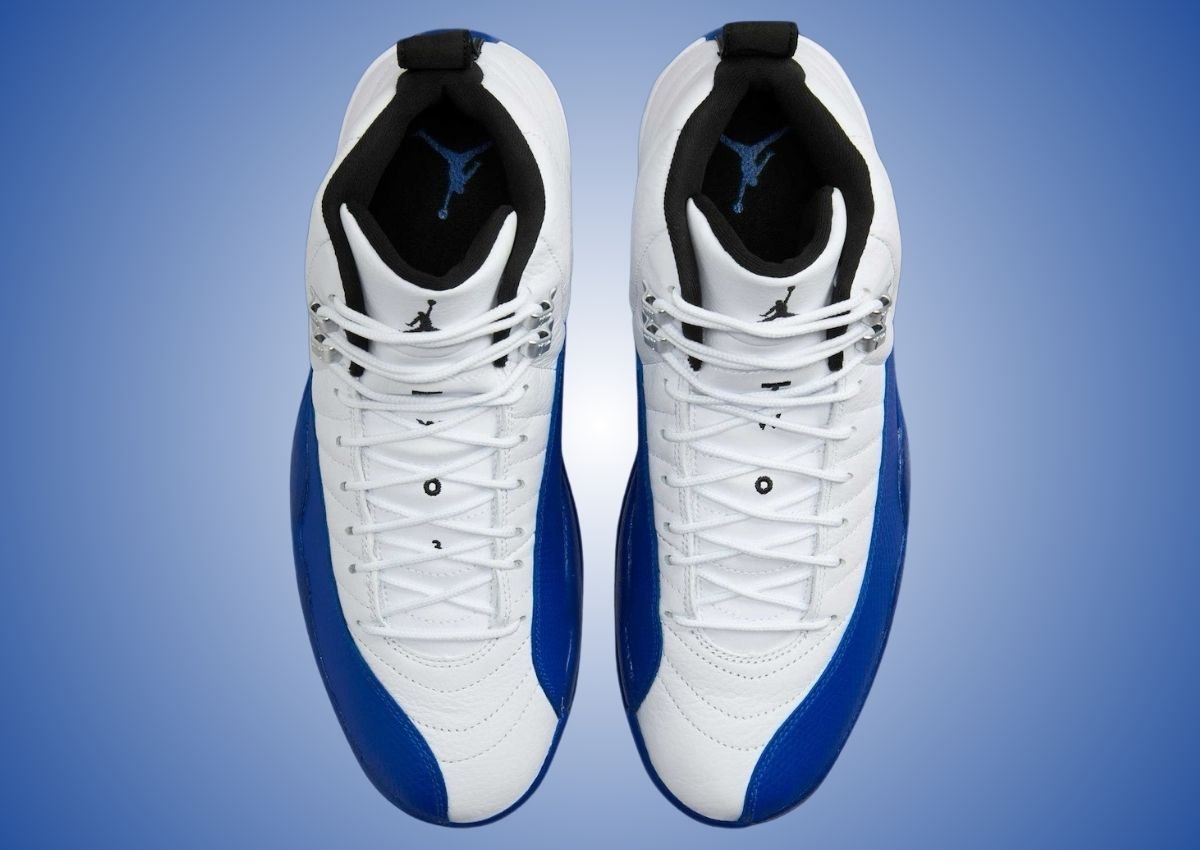 Air Jordan 12 Blueberry CT8013-140 | SneakerFiles