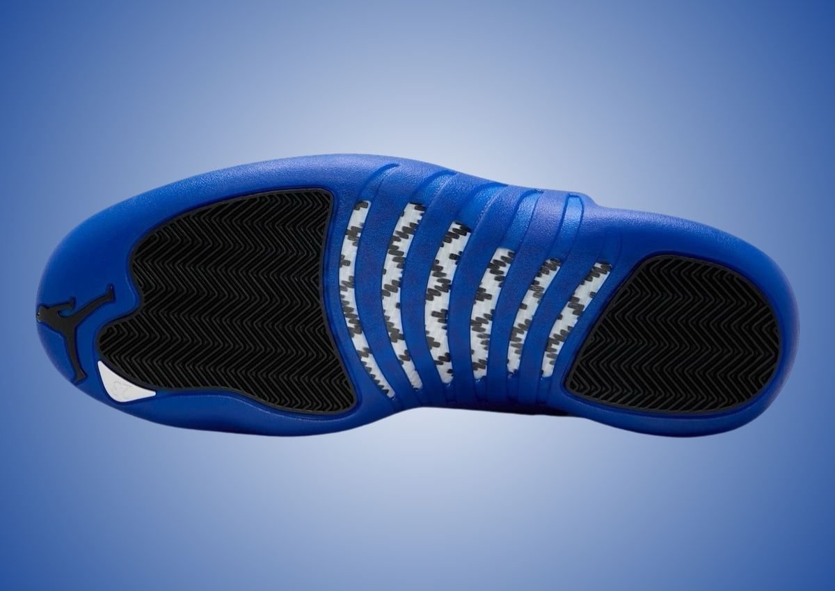 Air Jordan 12 Blueberry CT8013-140 | SneakerFiles