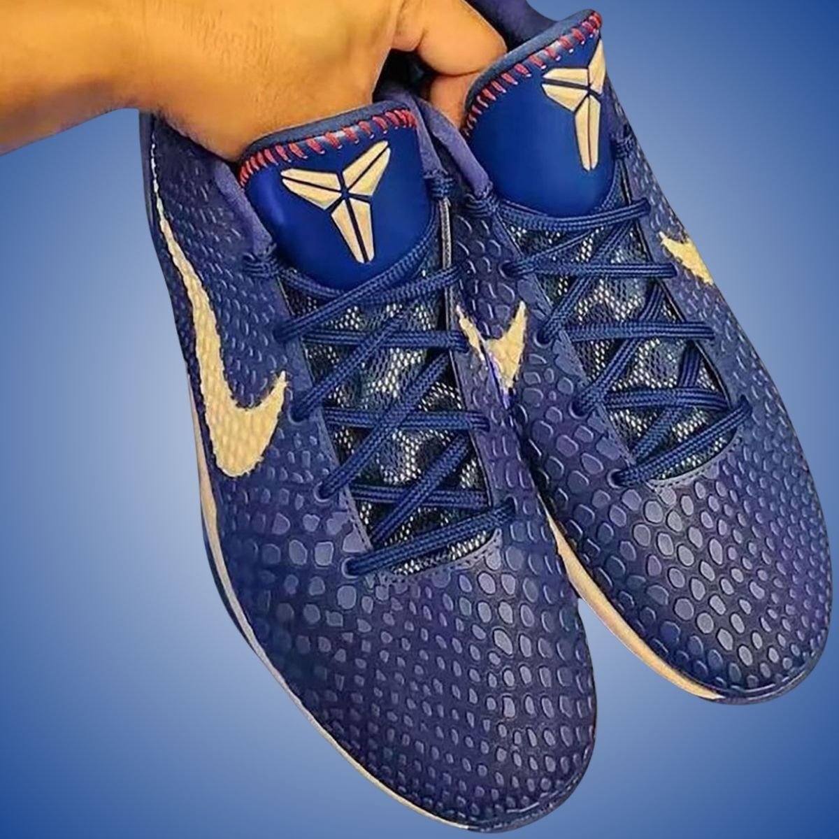 Nike Kobe 6 Protro Dodgers CW2190-400 | SneakerFiles