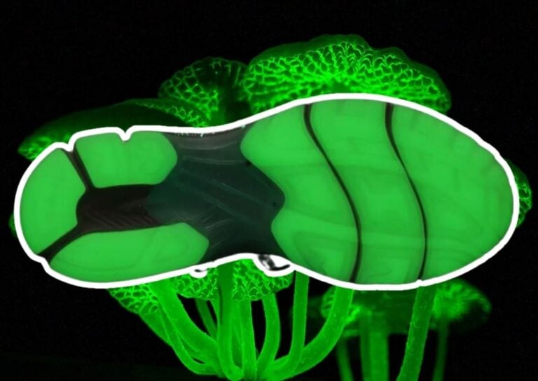 atmos x ASICS GEL-Kayano 14 Glow in the Dark 1203A575-100 | SneakerFiles