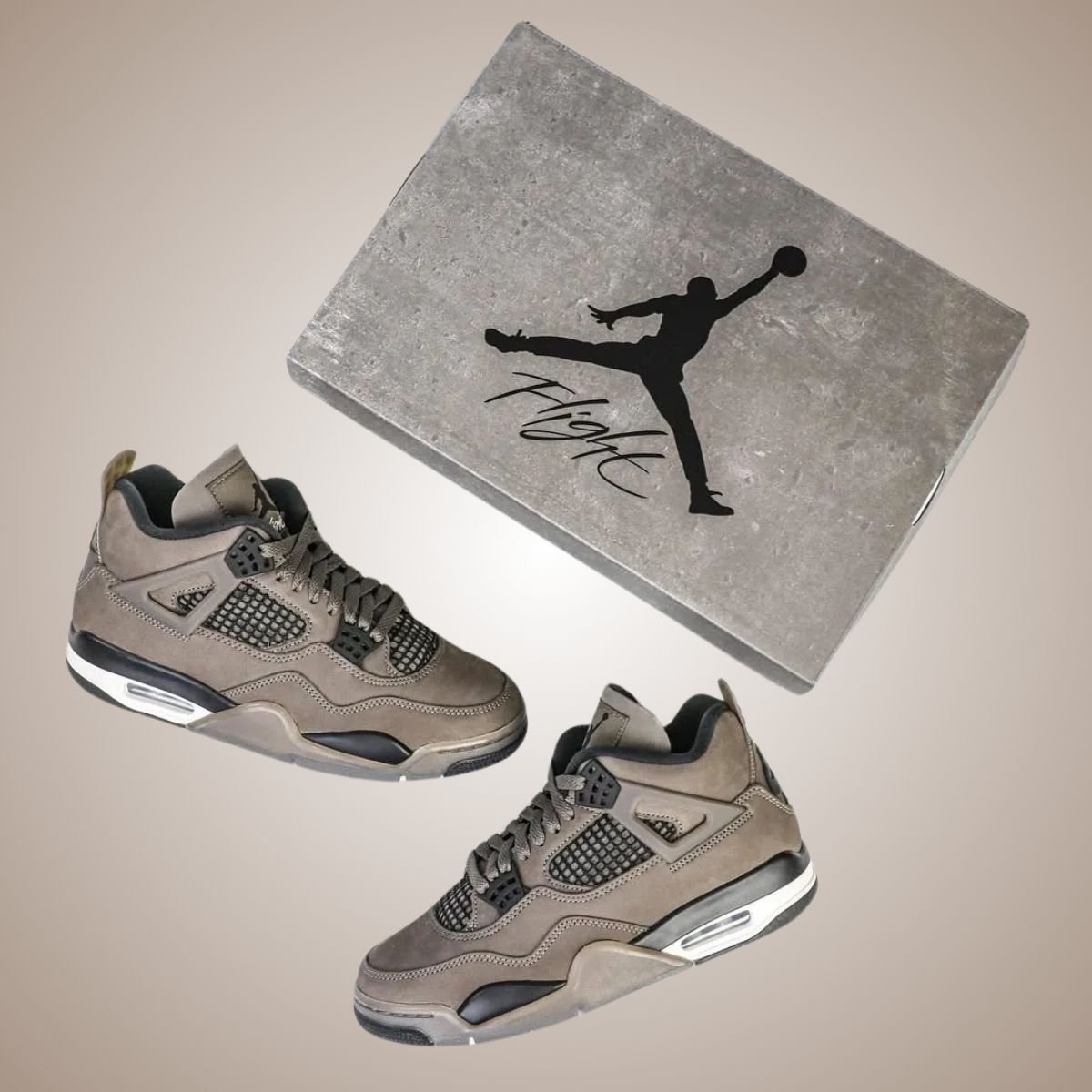 Air Jordan 4 Cave Stone FV5029-200 | SneakerFiles