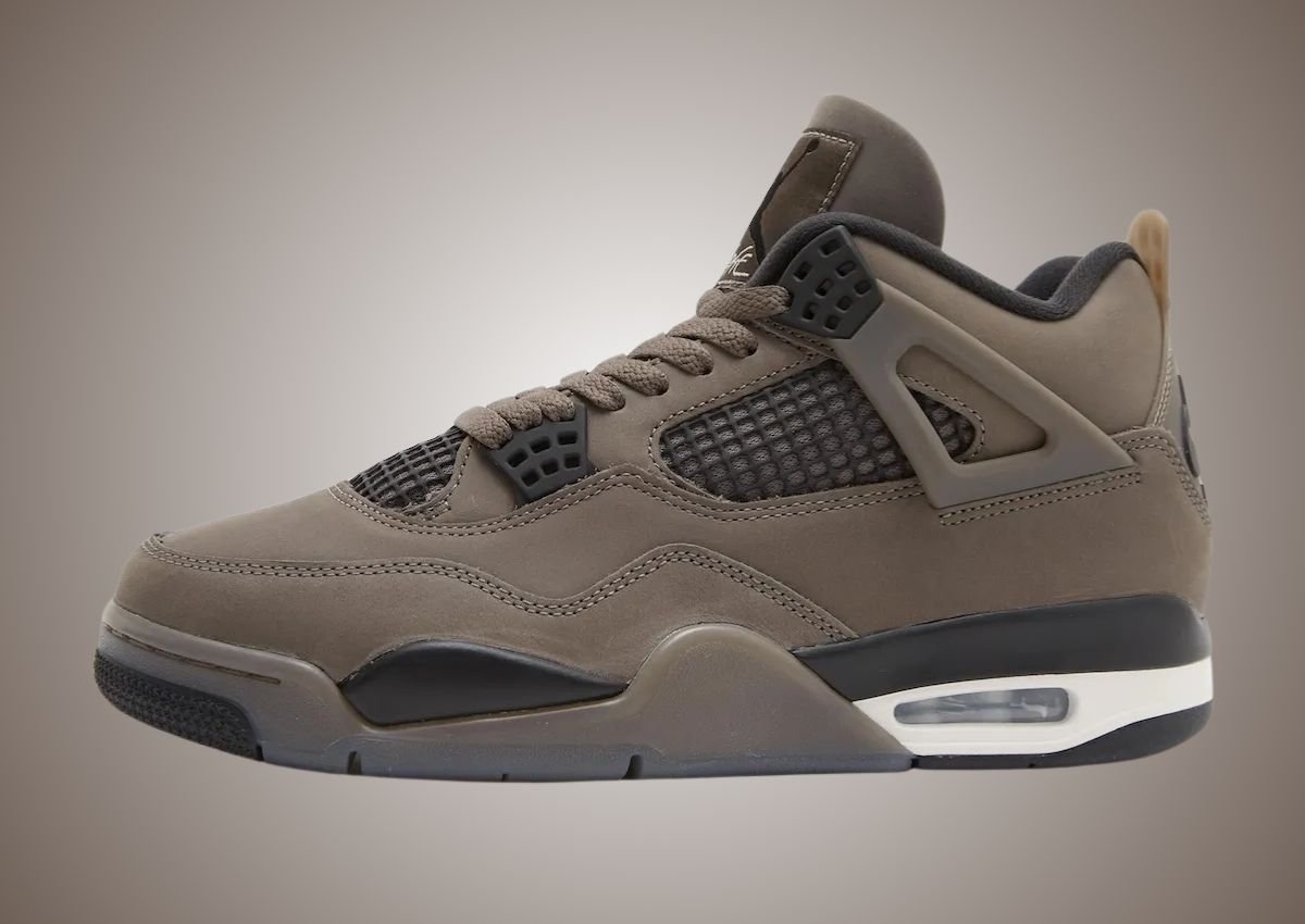 Air Jordan 4 Cave Stone FV5029-200 | SneakerFiles