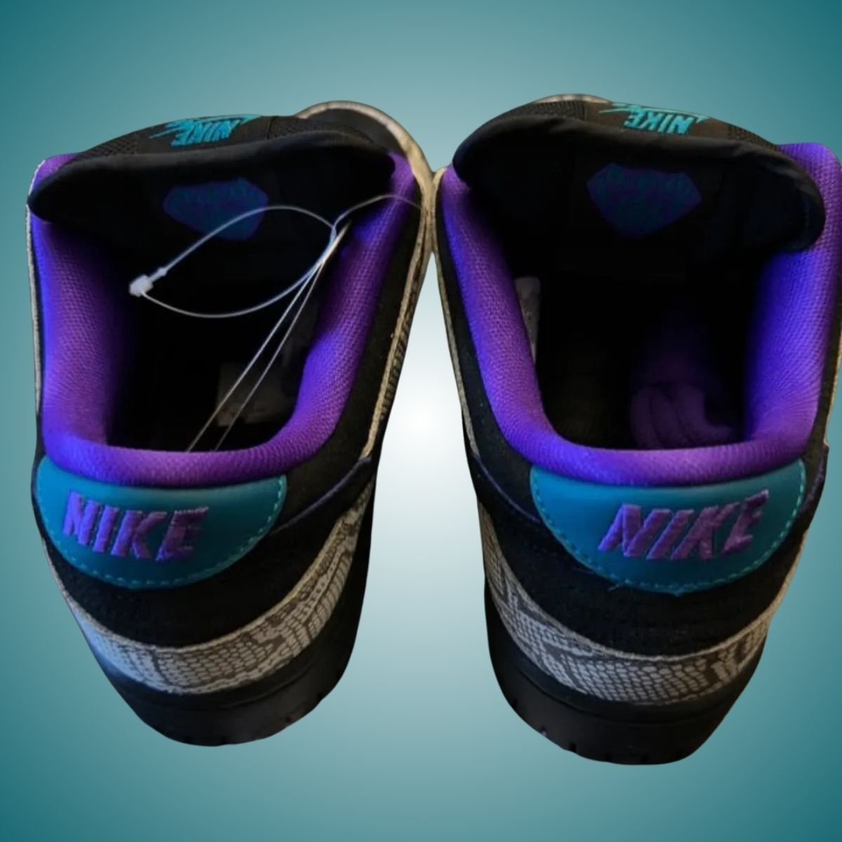 Dashawn Jordan x Nike SB Dunk Low IB6208-200 | SneakerFiles