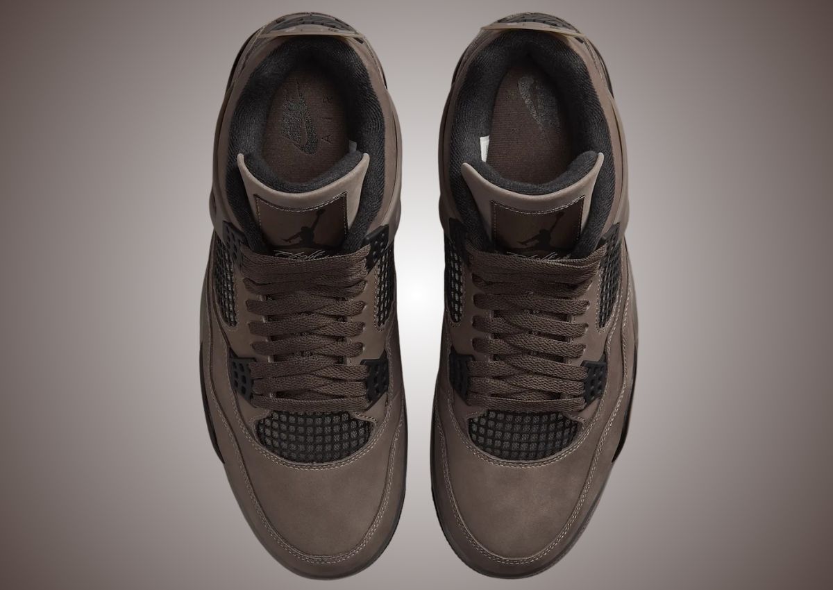 Air Jordan 4 Cave Stone FV5029-200 | SneakerFiles