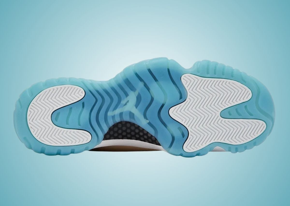 Air Jordan 11 H-Town Houston IO8960-707 | SneakerFiles