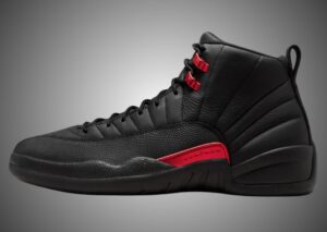 Air Jordan 12 Bloodline CT8013-001 | SneakerFiles