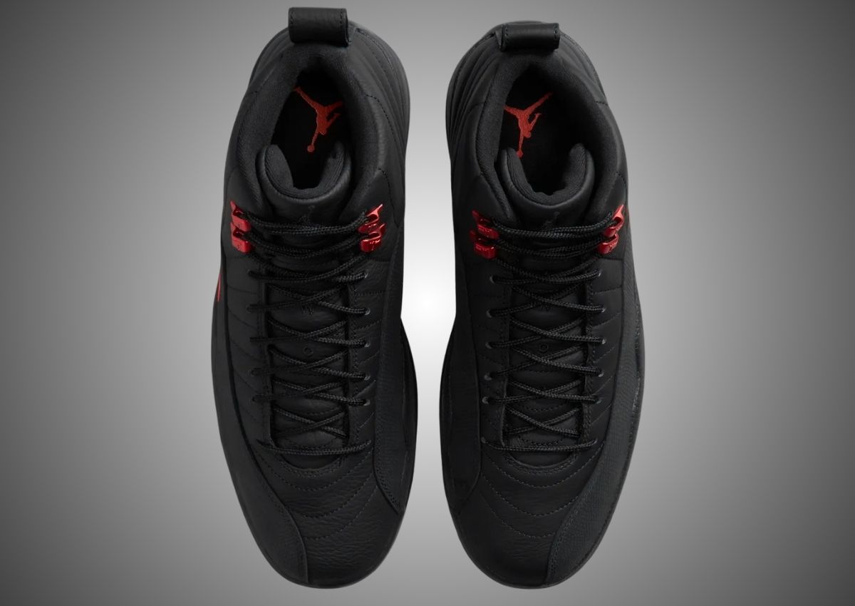 Air Jordan 12 Bloodline CT8013-001 | SneakerFiles